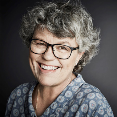 Anne Holt – Dituria